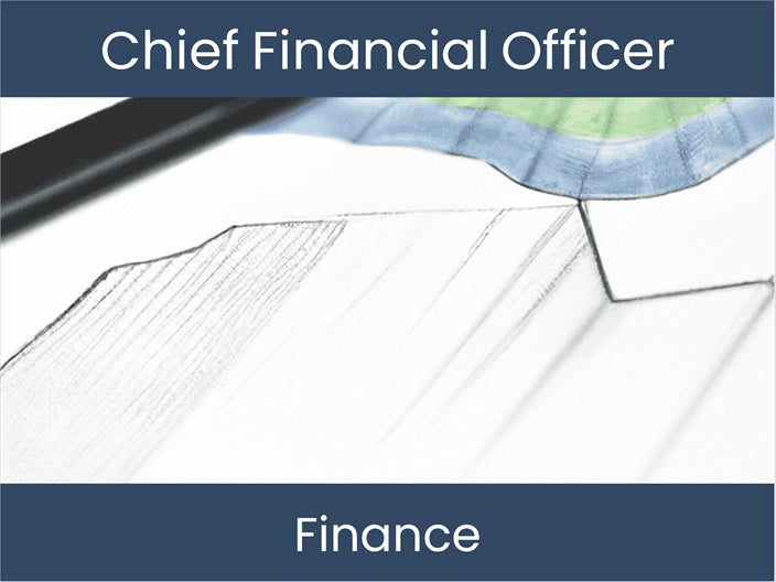 Become an Expert CFO: Decode Finance Roles – excel-dashboards.com