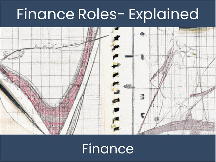 Gerente de Finanzas Corporativas: Roles de finanzas explorados ...