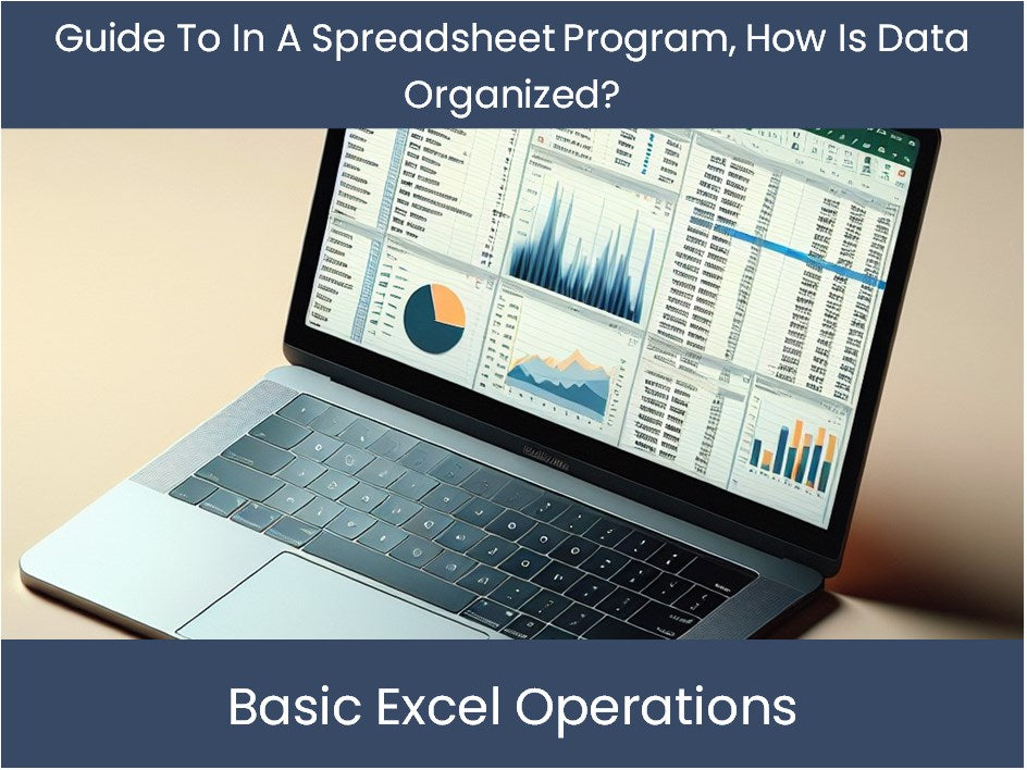 Guide To In A Spreadsheet Program, How Is Data Organized? – excel ...