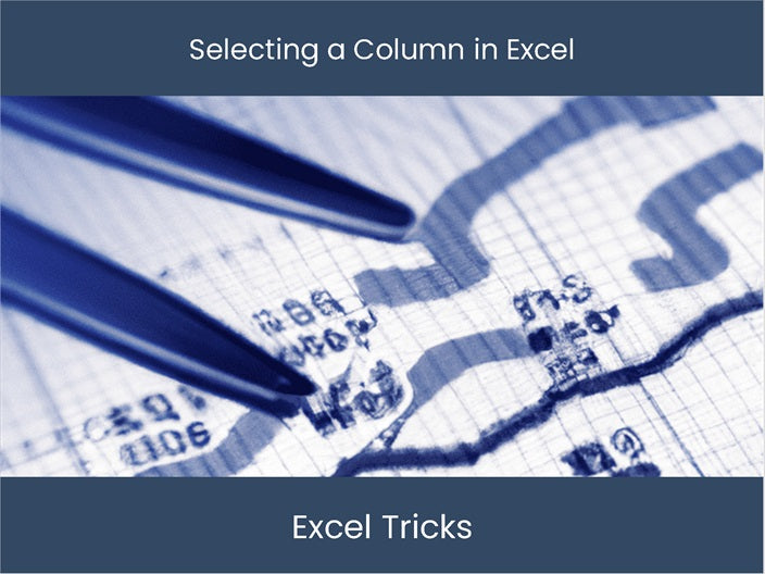 Select the Perfect Excel Column – DashboardsEXCEL.com