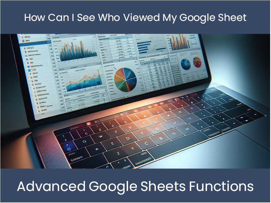 How Can I See Who Viewed My Google Sheet – DashboardsEXCEL.com