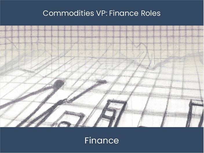 Commodities Arbitrage VP: Finance Roles Unveiled – DashboardsEXCEL.com