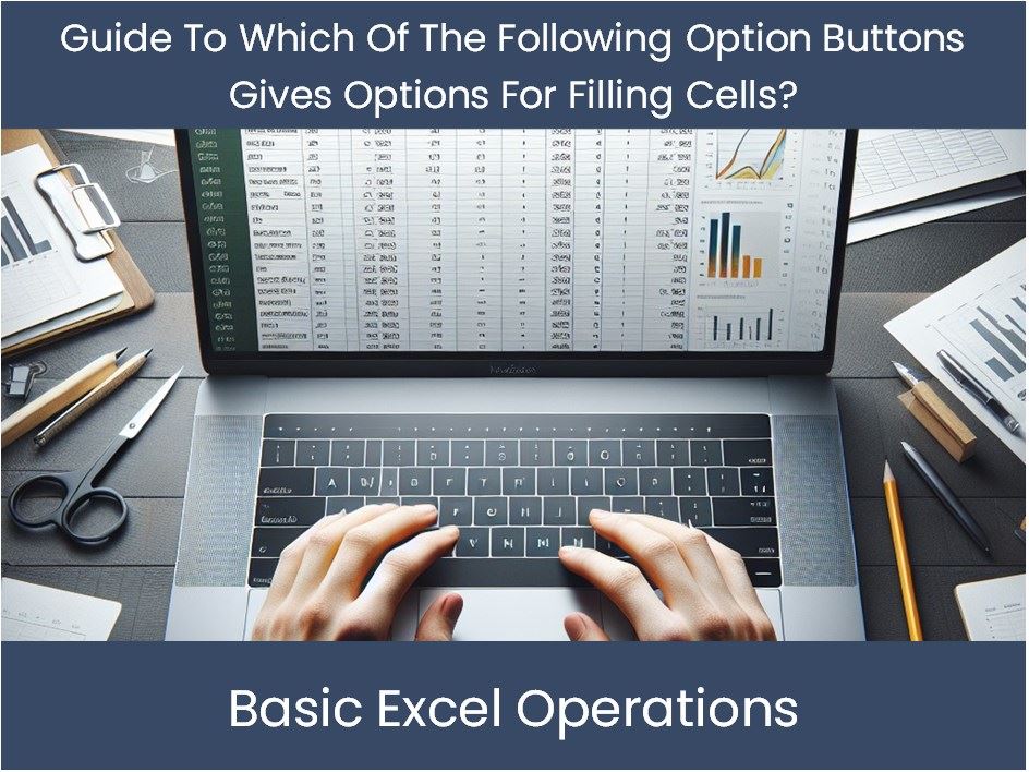 Guide To Which Of The Following Option Buttons Gives Options For Filli ...