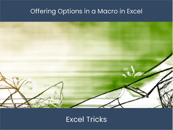 Improve Your Excel Macros with Advanced Options – DashboardsEXCEL.com