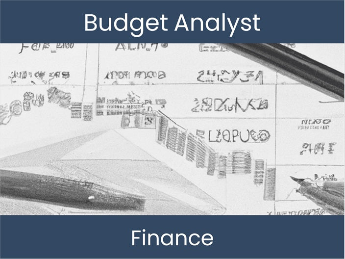 Become a Budget Analyst: Finance Roles Explained! – DashboardsEXCEL.com