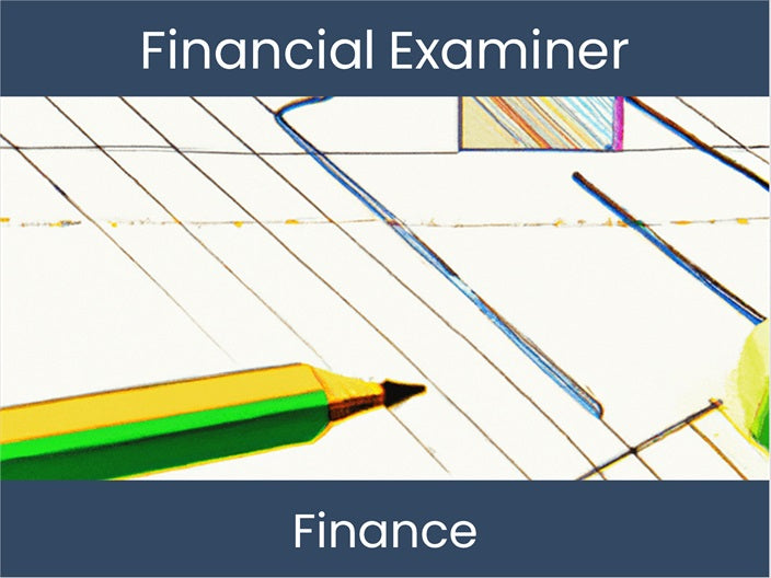 Financial Examiner Roles Explained - Understand the Finance Industry ...