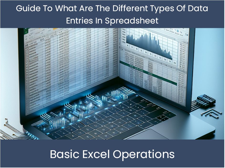 Guide To What Are The Different Types Of Data Entries In Spreadsheet ...