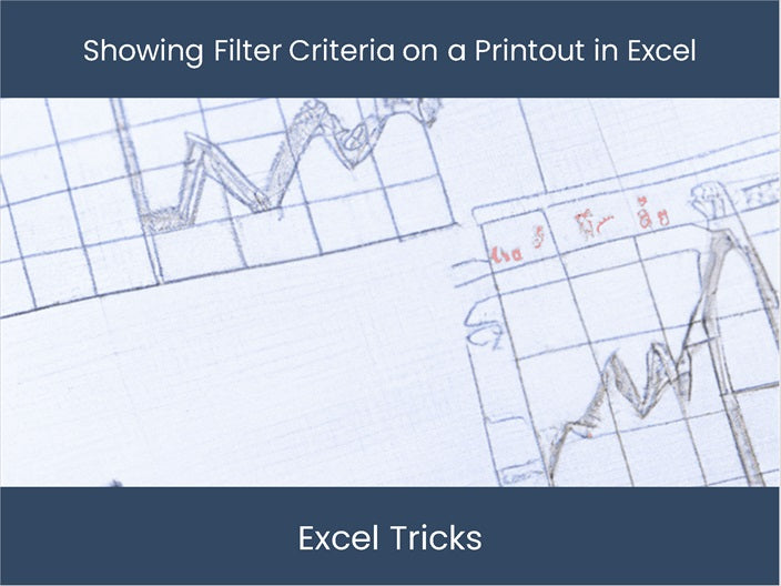 Filter criteria on Excel printout – see how it works! – excel ...