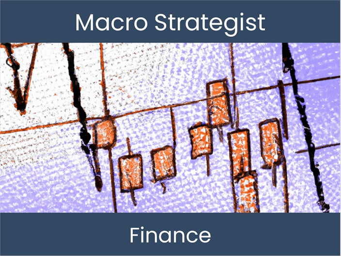 into.tv | Get Insights on Macro Finance: Roles & Strategies – excel ...